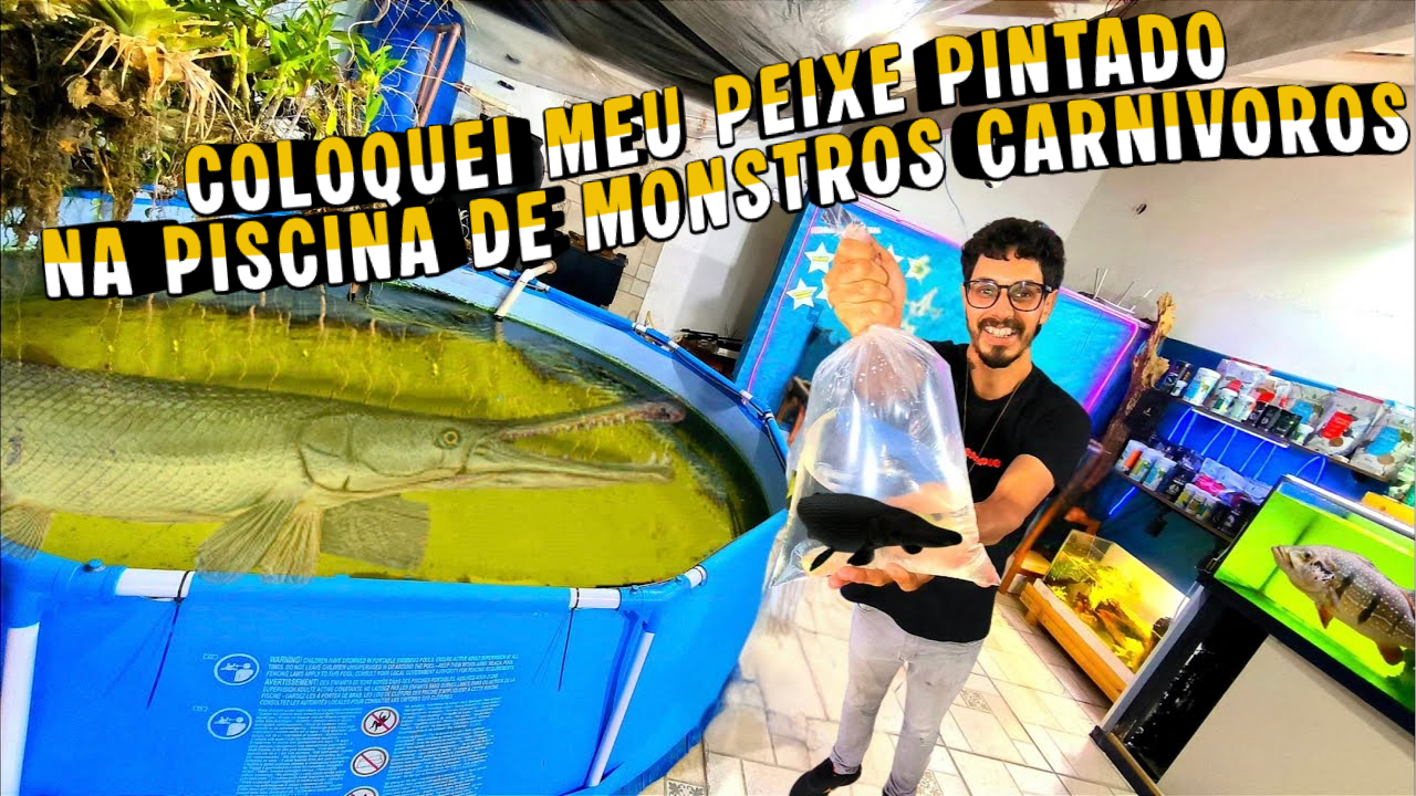 Meu Novo Peixe Monstro Dinossauro: Descoberta na Loja Secreta