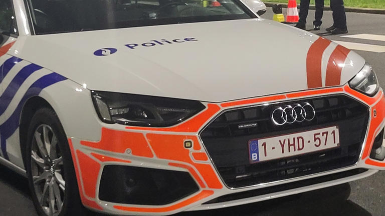 Drame sur un lac dans le Limbourg : un petit bateau a coulé, deux ...