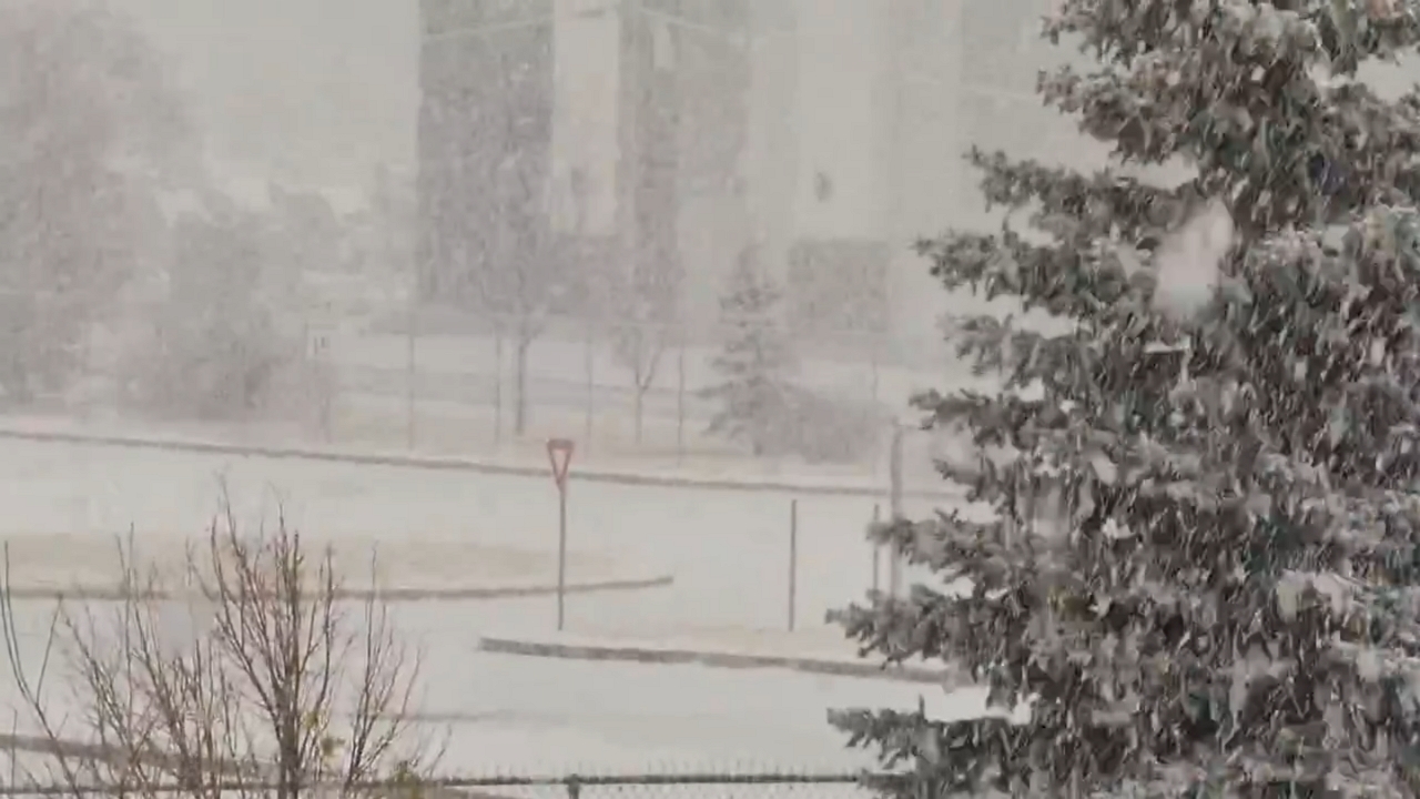 Heavy snowfall with massive snowflakes in Calgary, Alberta, Canada