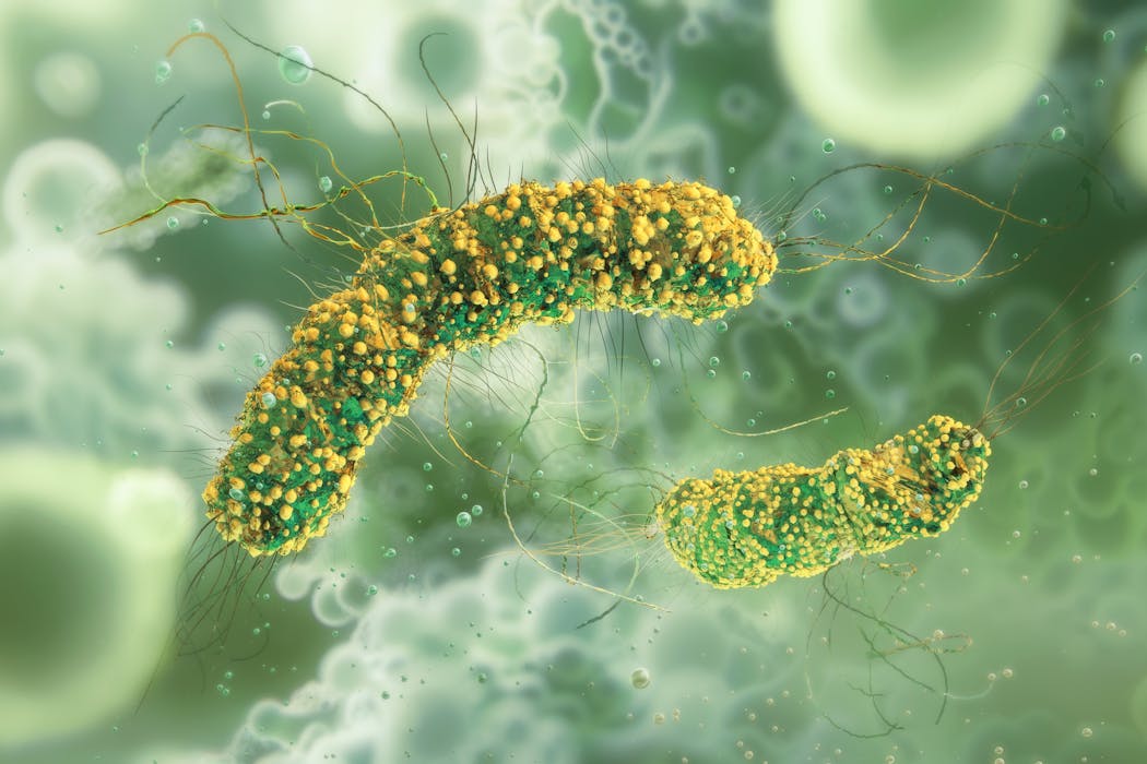 How scientists are hacking bacteria to treat cancer, self-destruct ...