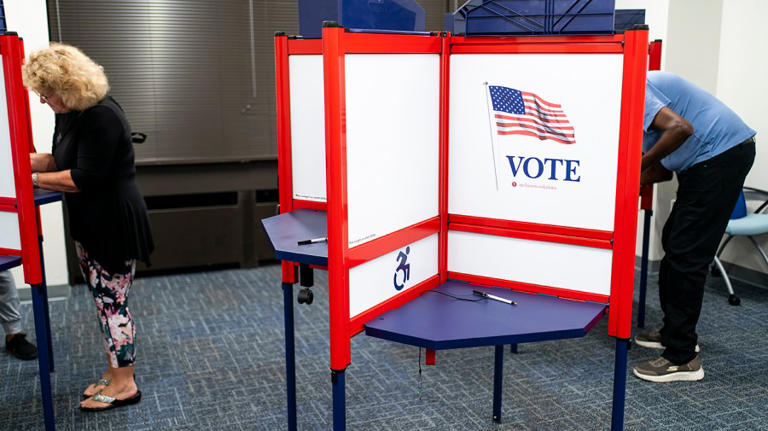 Nov. 15 election: East Baton Rouge voters to decide on South Burbank ...