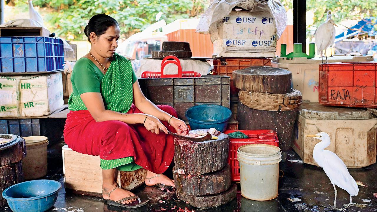 Mumbai Diary: Monday Dossier