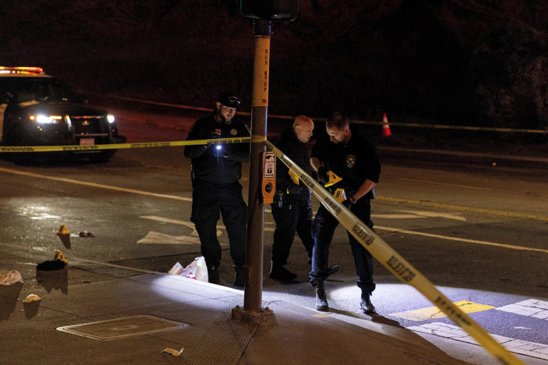 San Francisco supermarket shooting leaves five wounded