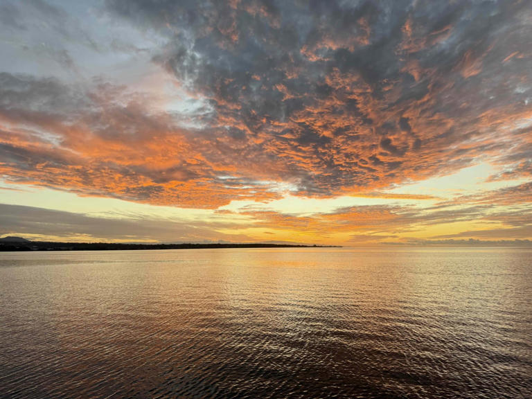 Healing life on Earth begins with healing our bonds: Voices from the ...