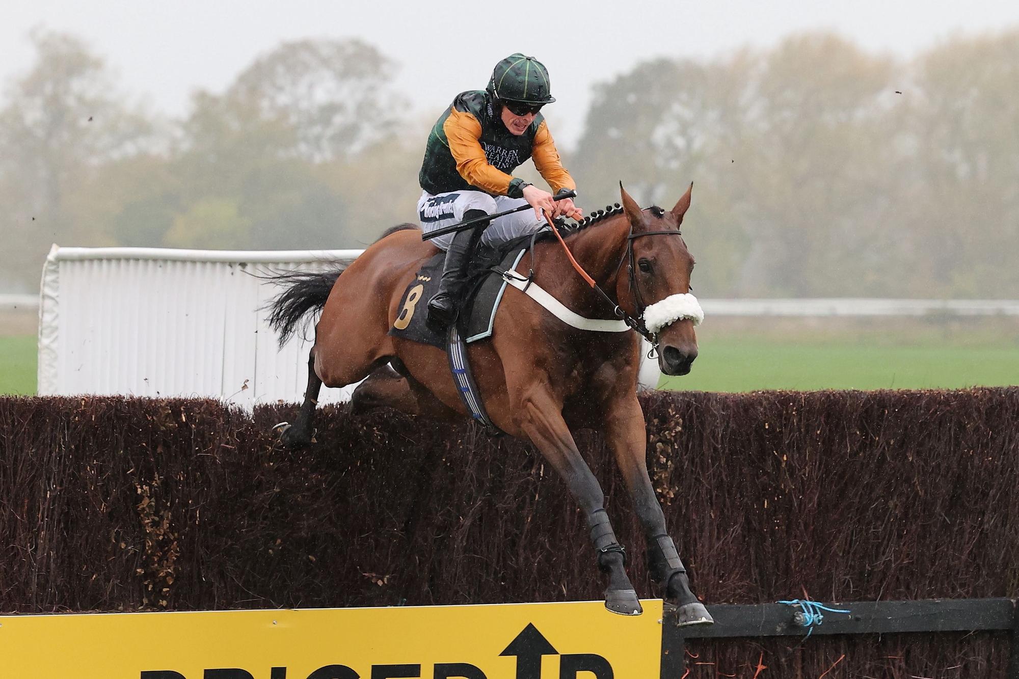 Two days of racing action at Warwick Winter Festival