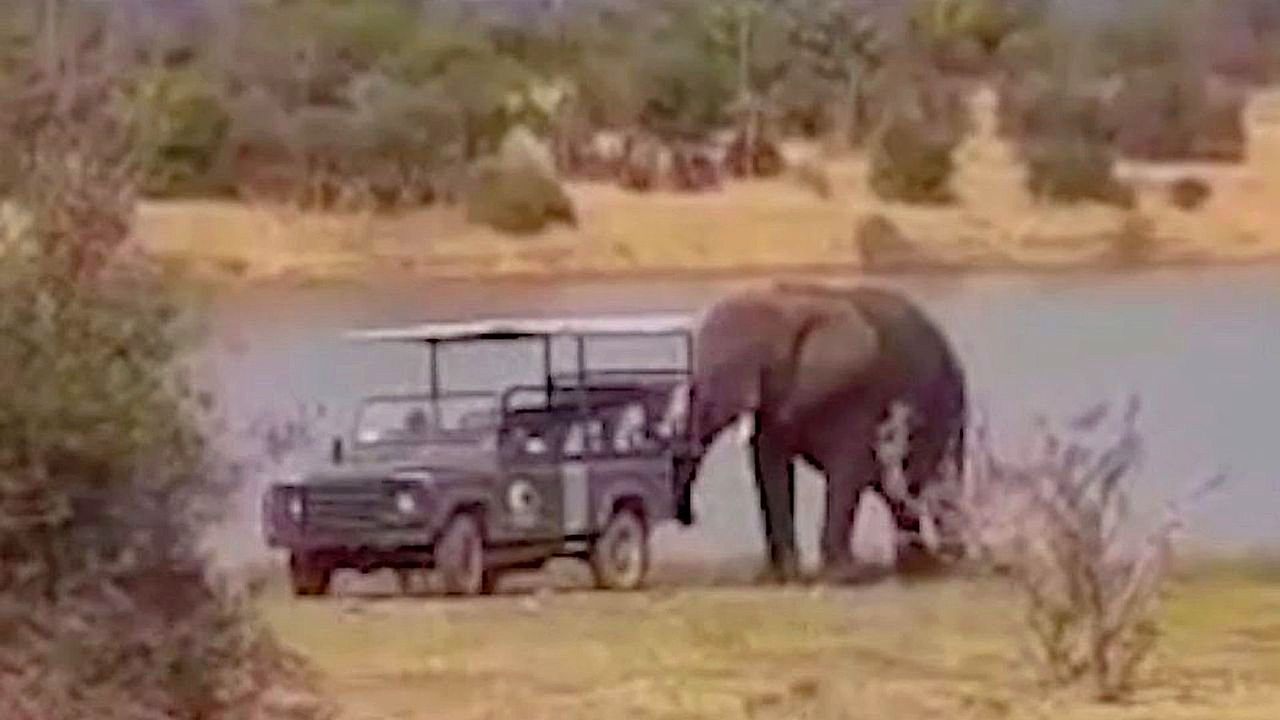 Un éléphant aide à pousser une jeep embourbée en Afrique du Sud