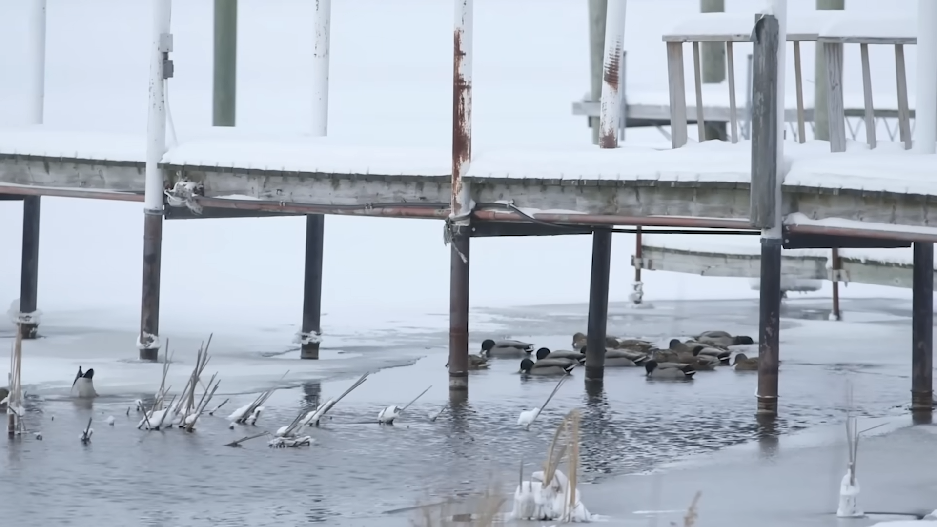 How Thousands of Barrels of Poison Ended Up Beneath a Michigan Paradise