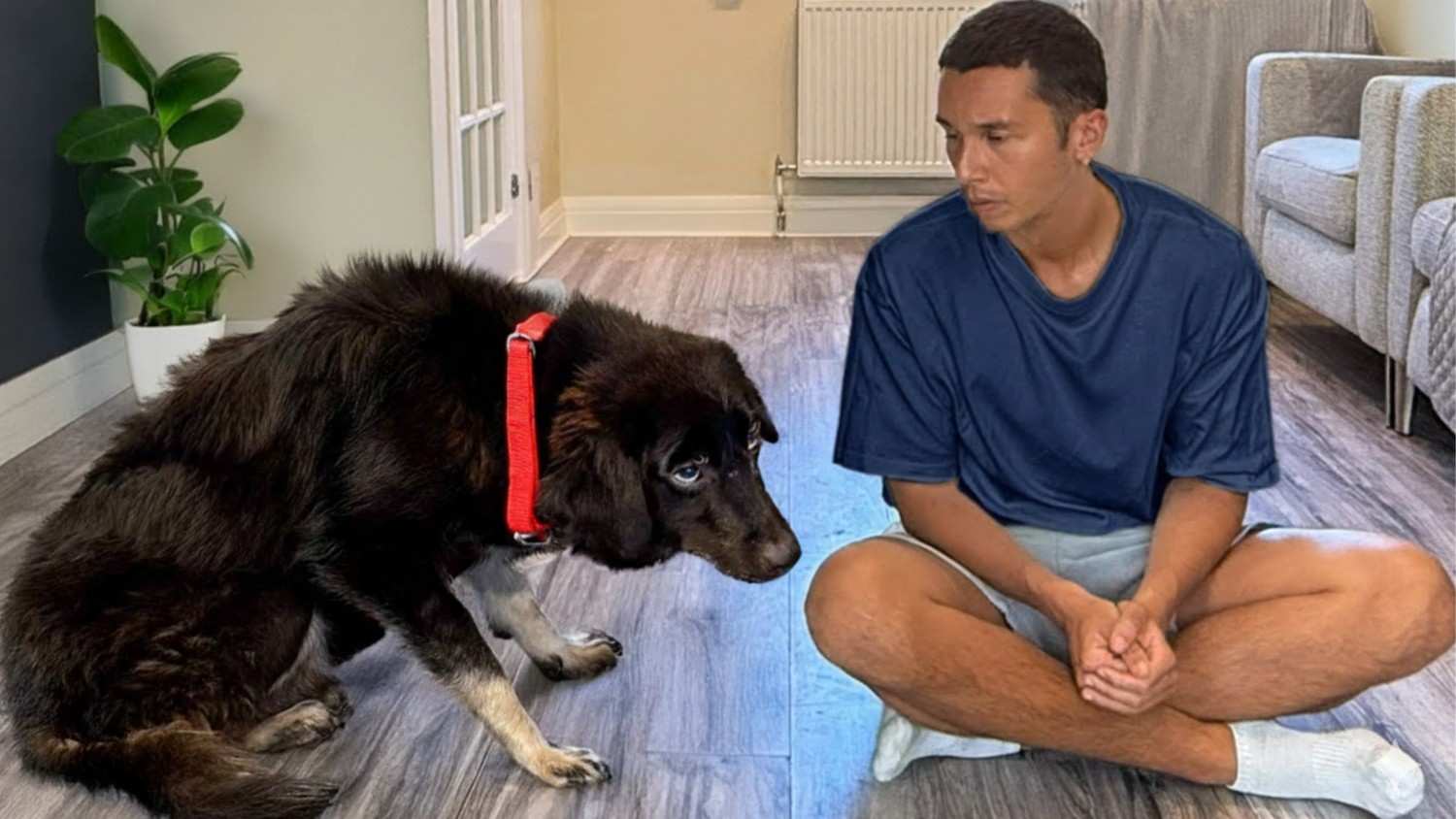 The Most Broken Dog We’ve Ever Rescued… Until Now