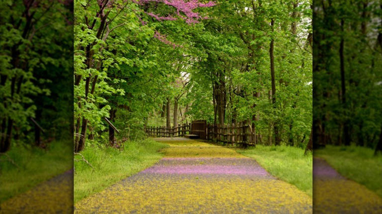 Situated Between Hershey And Philly Is An Affordable Borough With Green ...