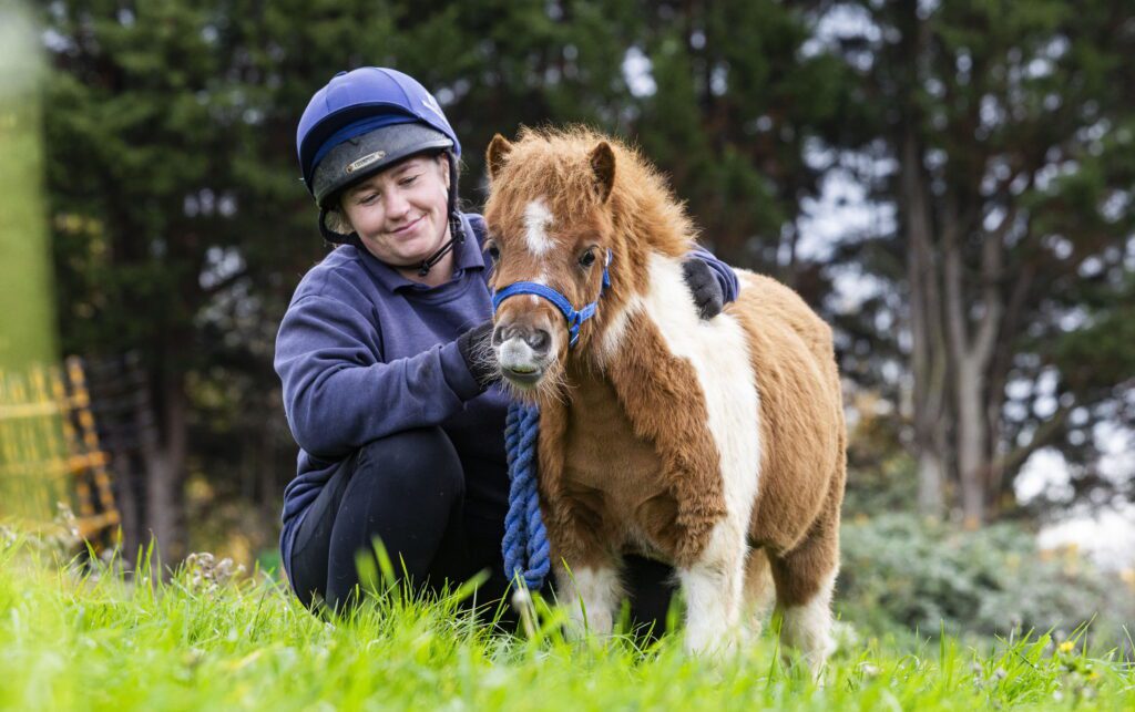 Meet Pam one of the world’s smallest ponies – just 24 inches tall