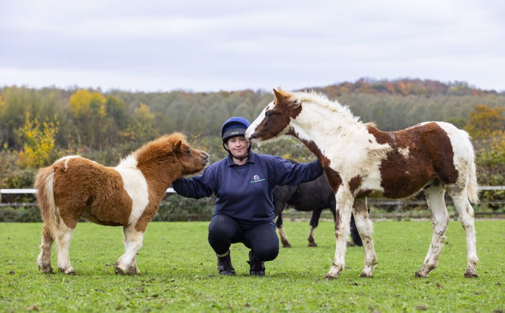 Meet Pam one of the world’s smallest ponies – just 24 inches tall