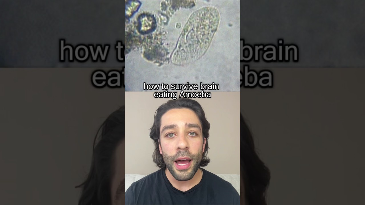 How to survive a brain-eating amoeba and protect yourself