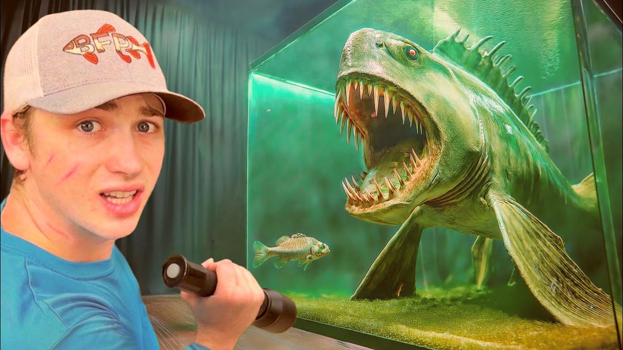 Deadliest fish on Earth? I just put two in my tank