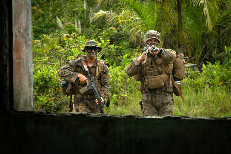 Pentagon sends ground forces to train in Panama’s jungle for first time ...