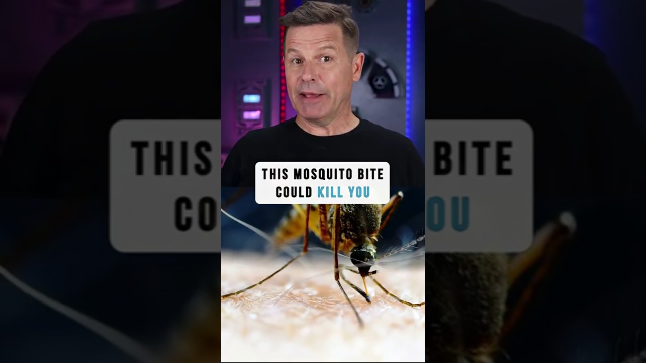 See what really happens when a dengue mosquito bites you