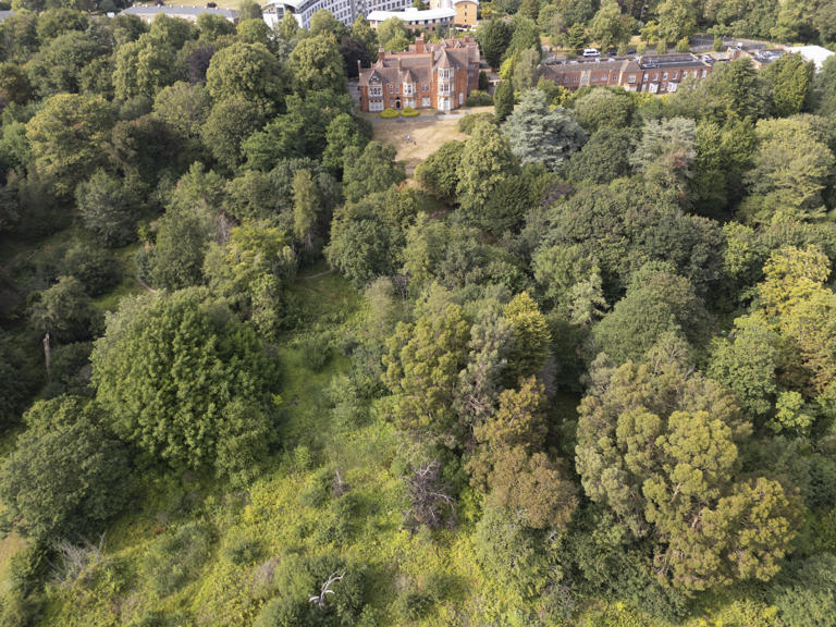 'A bright future ahead': The historic Birmingham treasure making its ...