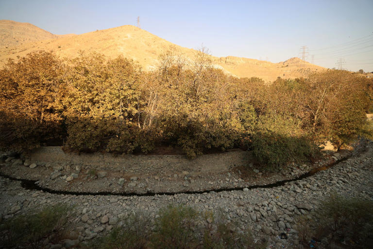 Tehran may be evacuated as Iran faces worst drought in decades