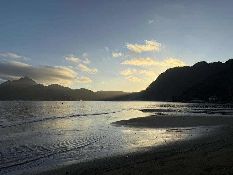 Healing life on Earth begins with healing our bonds: Voices from the ...