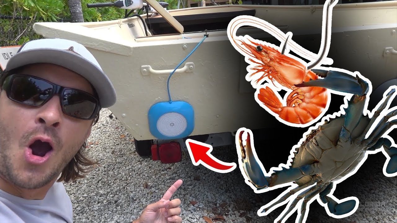 Taking LED Pool Lights Fishing at Night - Catch and Cook