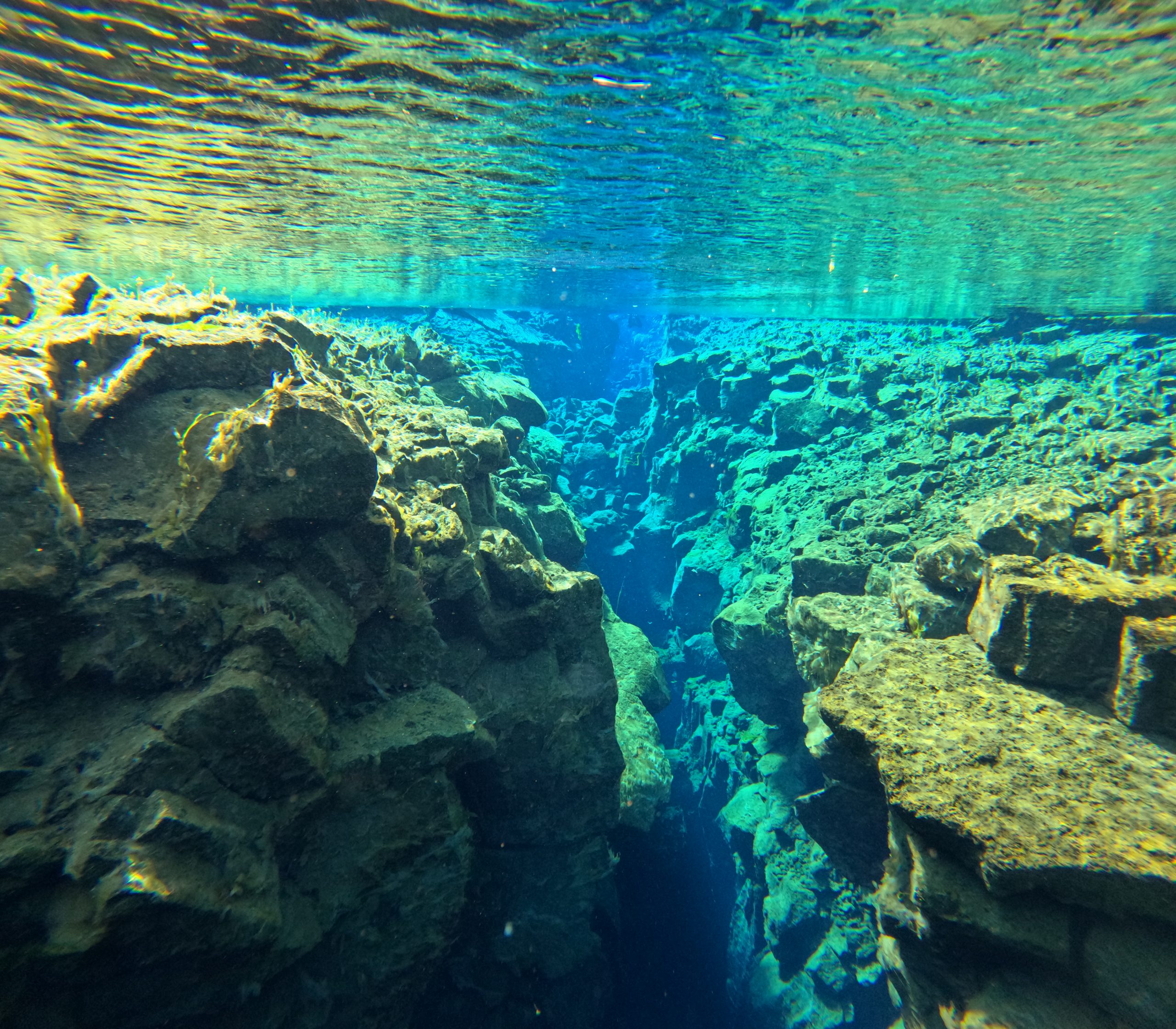 Scientists record first-of-its-kind tectonic plate rupture within the ...