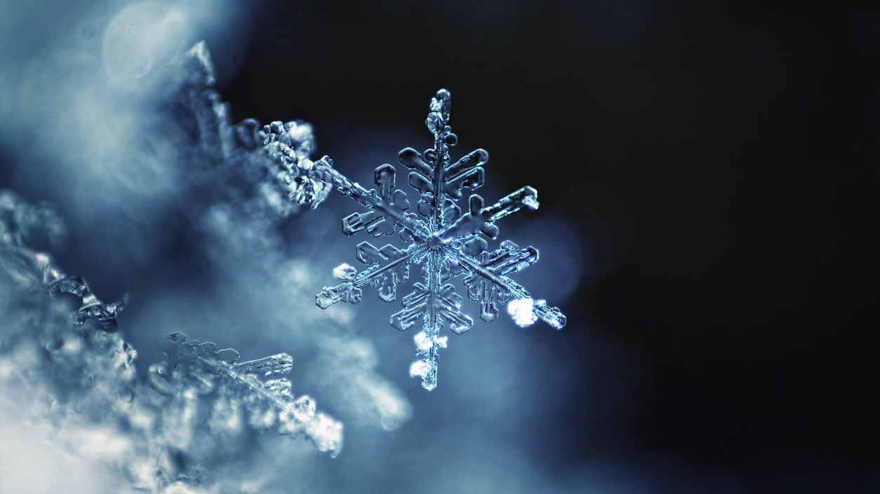 Stay informed: Over 300 churches, businesses closed as winter storm ...