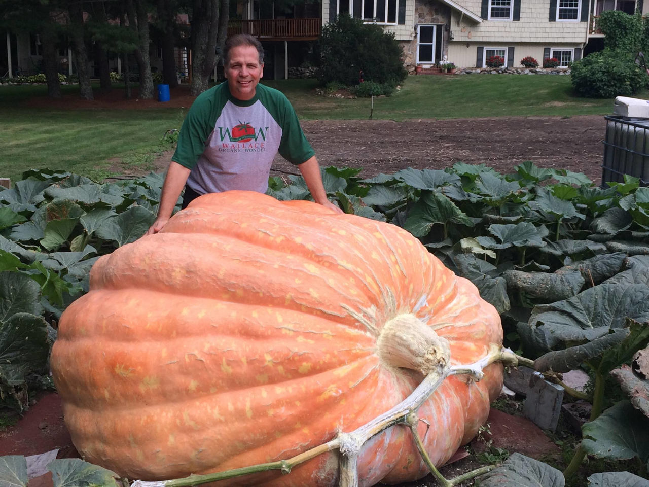 Meet the Giant Pumpkin Geneticists Pushing for a 3,000-Pounder