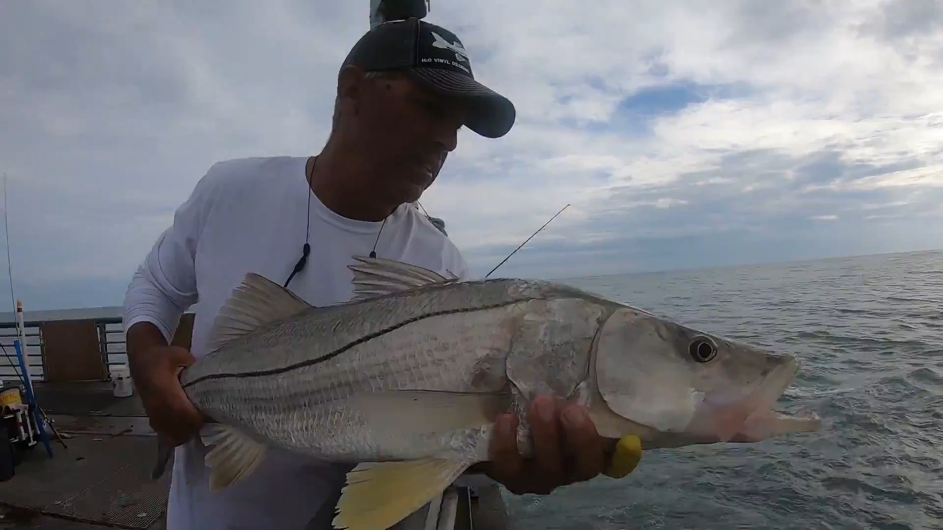 These underrated fish fight way harder than they look