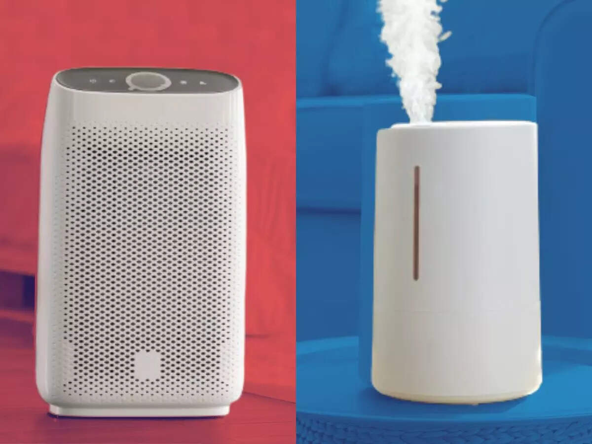 HEPA air purifier vs humidifier: what’s best for combating Delhi-NCR's ...