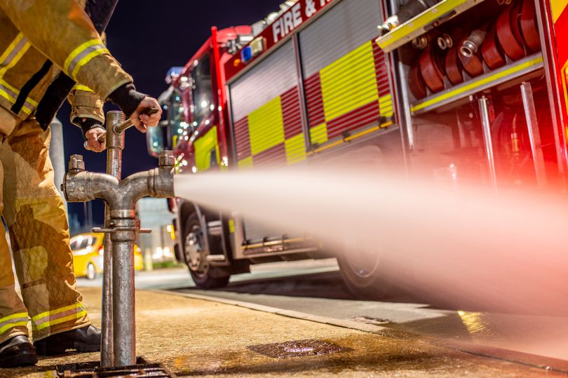 450 pigs die at farm fire as crews work through the night