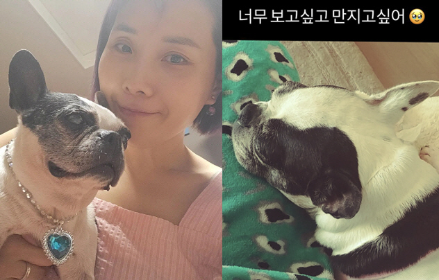Shin Bong-sun, I want to see tears and touch the missing family that ...