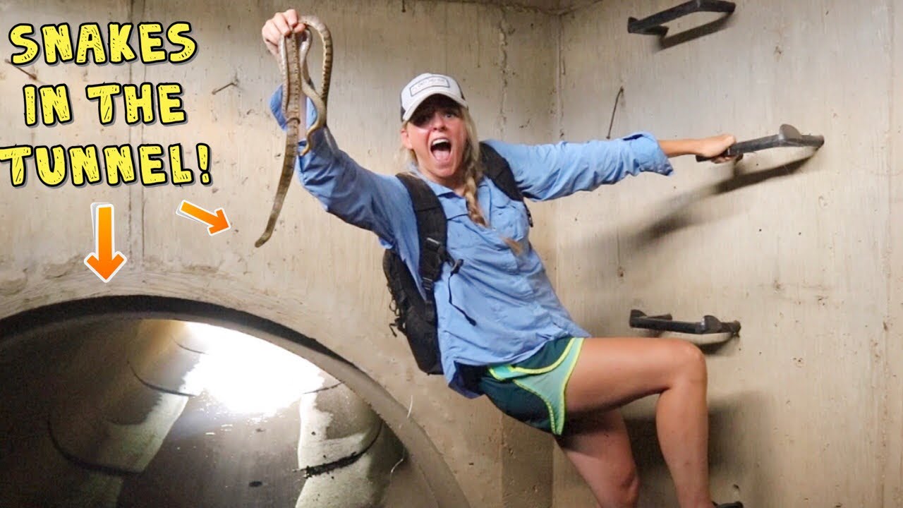 Catching snakes in underground tunnels