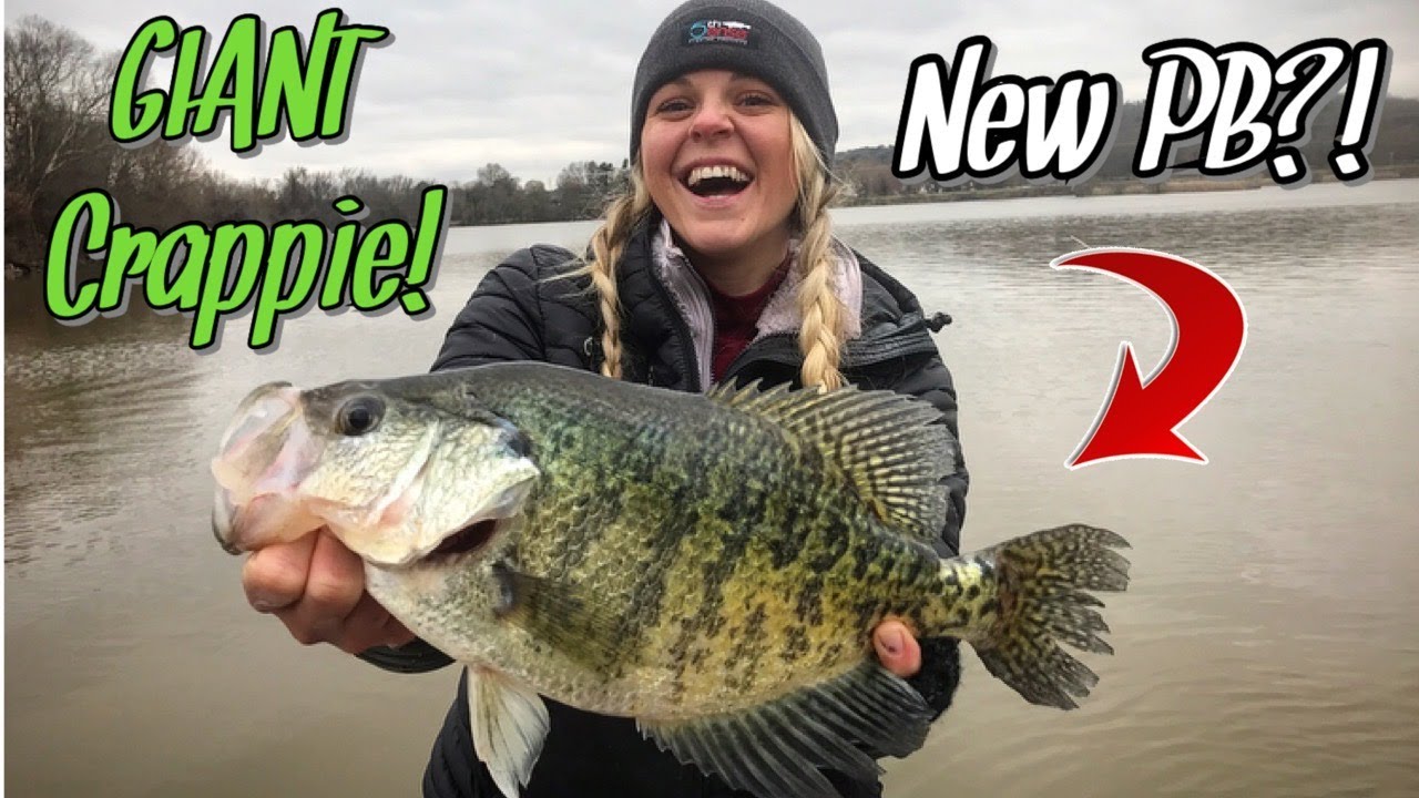 Monster Crappie Caught: Record-Breaking Fishing Tips