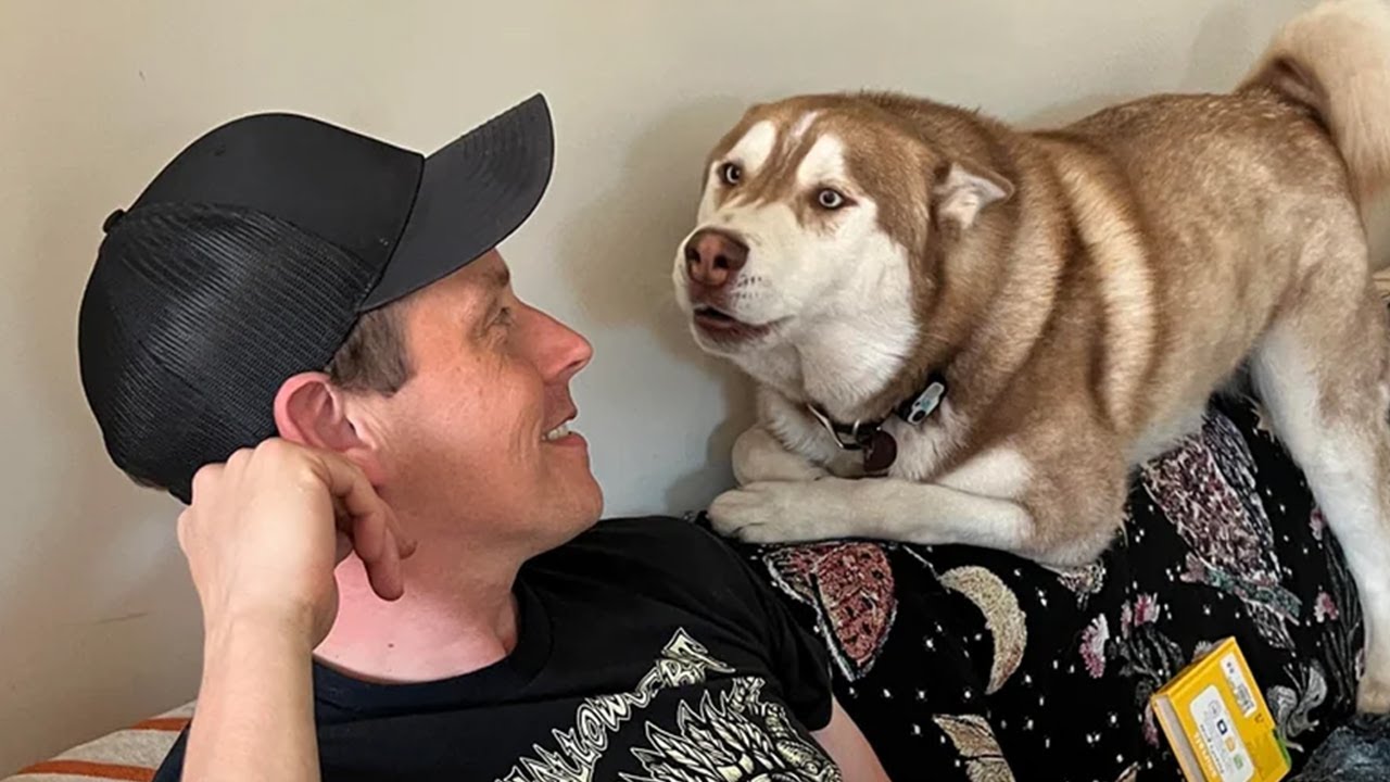 Dog sounds more human than his human