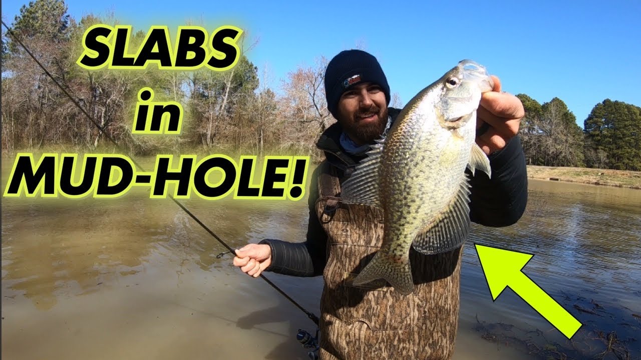 Catching slab crappie out of super shallow mud hole