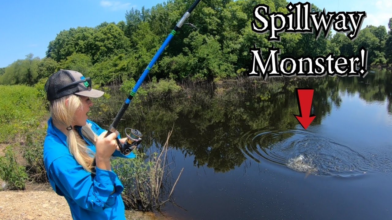 Caught a massive spillway monster during fishing trip