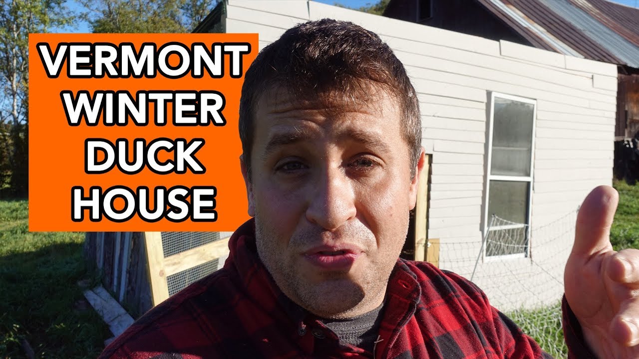 Winter duck house design keeps birds warm safely