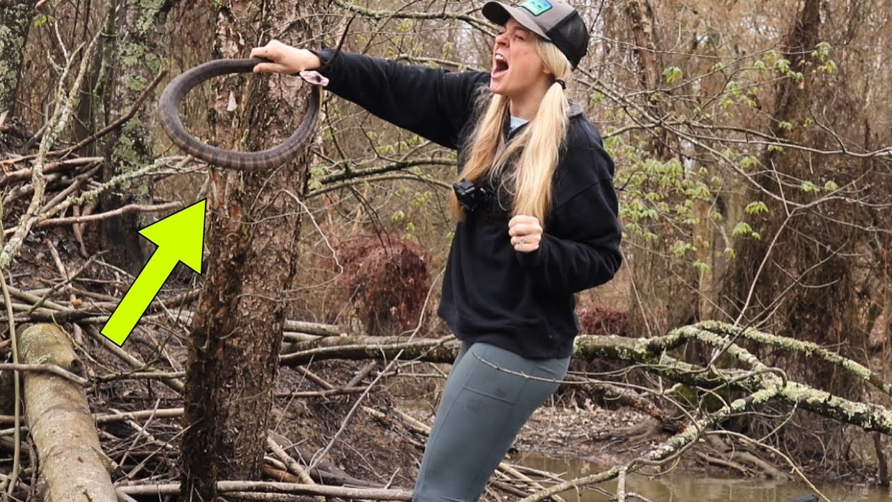 Bitten by a giant diamondback while kayaking