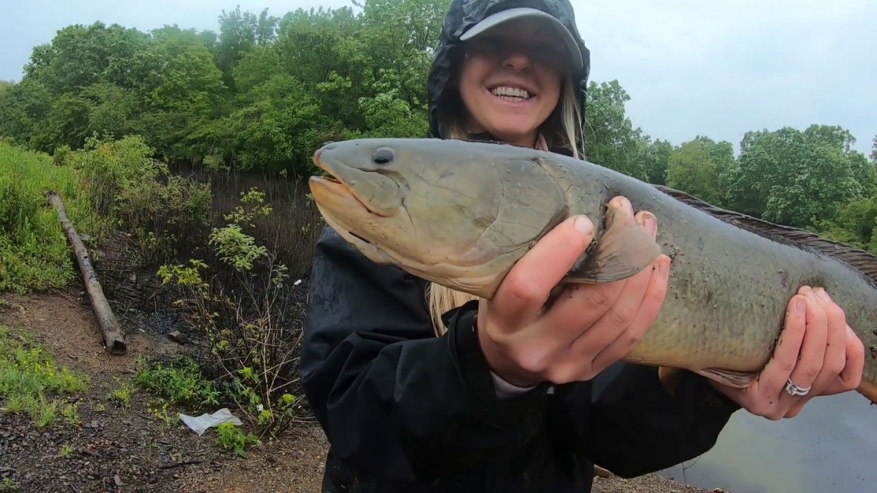 Giant Dinosaur Fish Found in Tiny Spillway: Fishing Tips