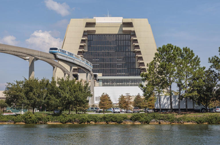 Witnesses describe horrifying sound after Disney superfan leaped from ...