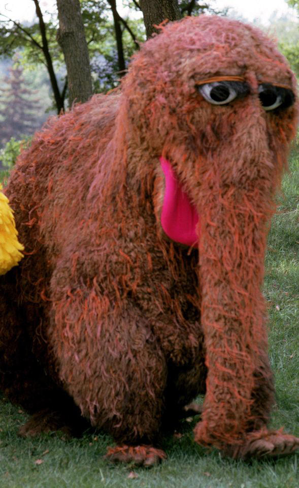 New species found after 25-year search and named after Sesame Street’s ...