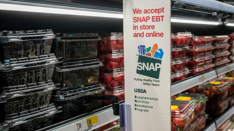 The Foods That SNAP Benefits Actually Don't Cover