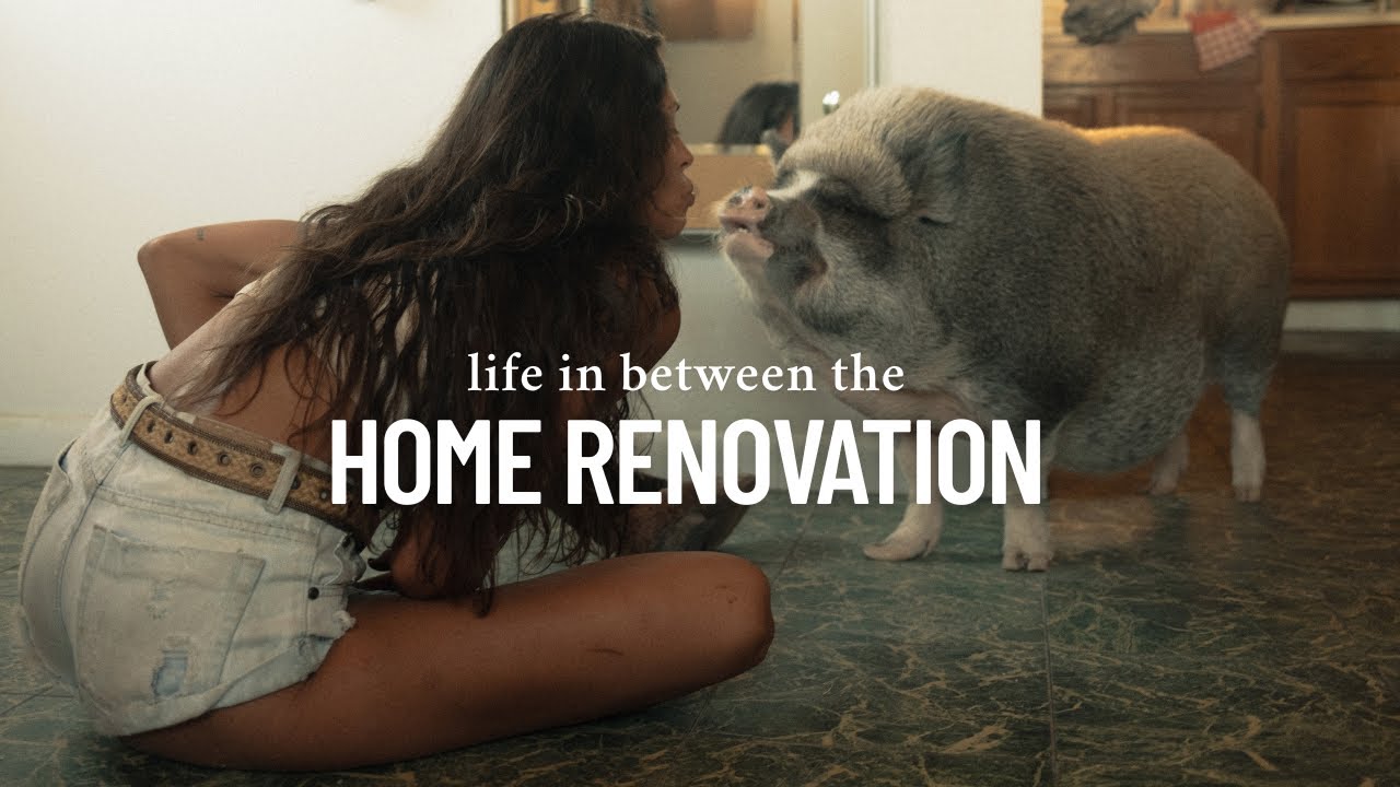 A journey of renewal and unexpected love