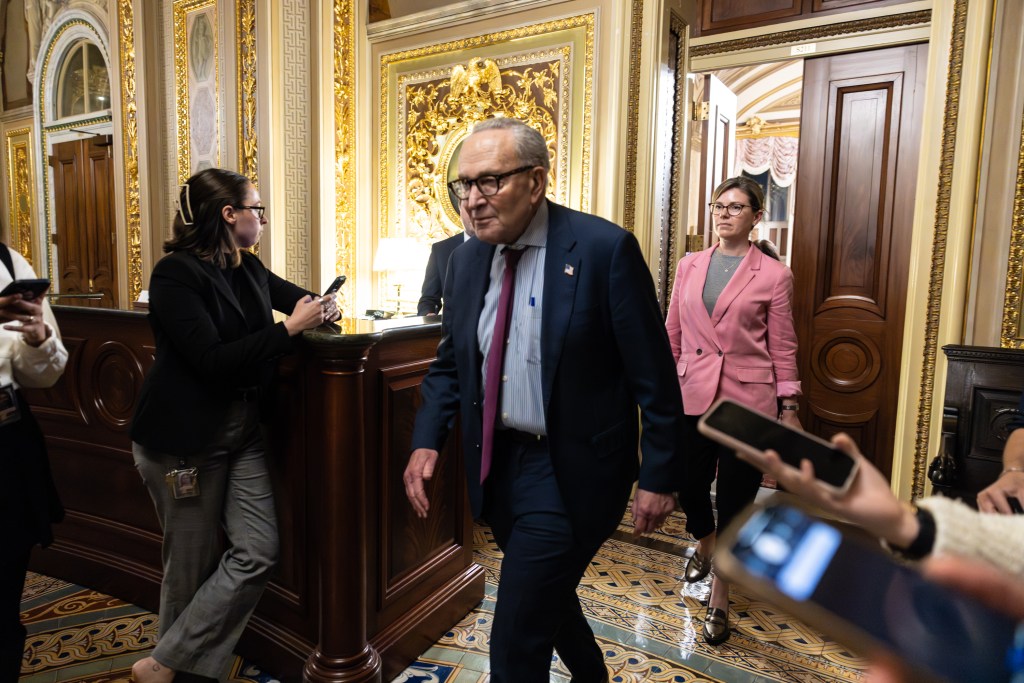 Democrats melt down, call for Chuck Schumer’s ouster after deal to end ...