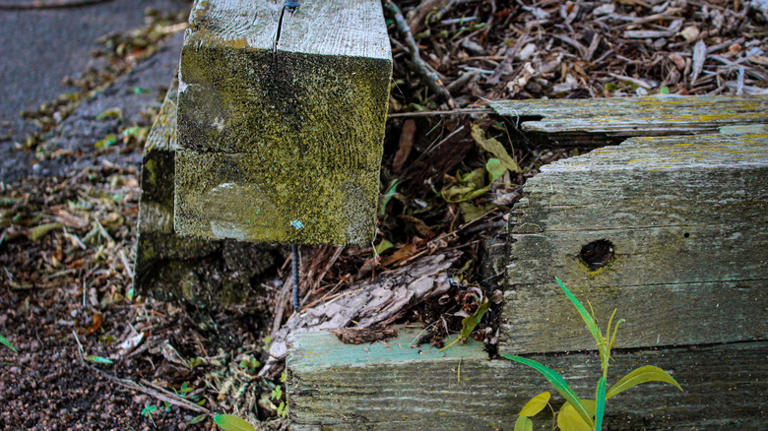 The Best Method For Bringing Your Damaged Planter Boxes Back To Life