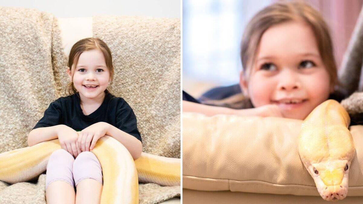 A Young Girl's Best Friends Are Two 15-Foot Retculated Pythons