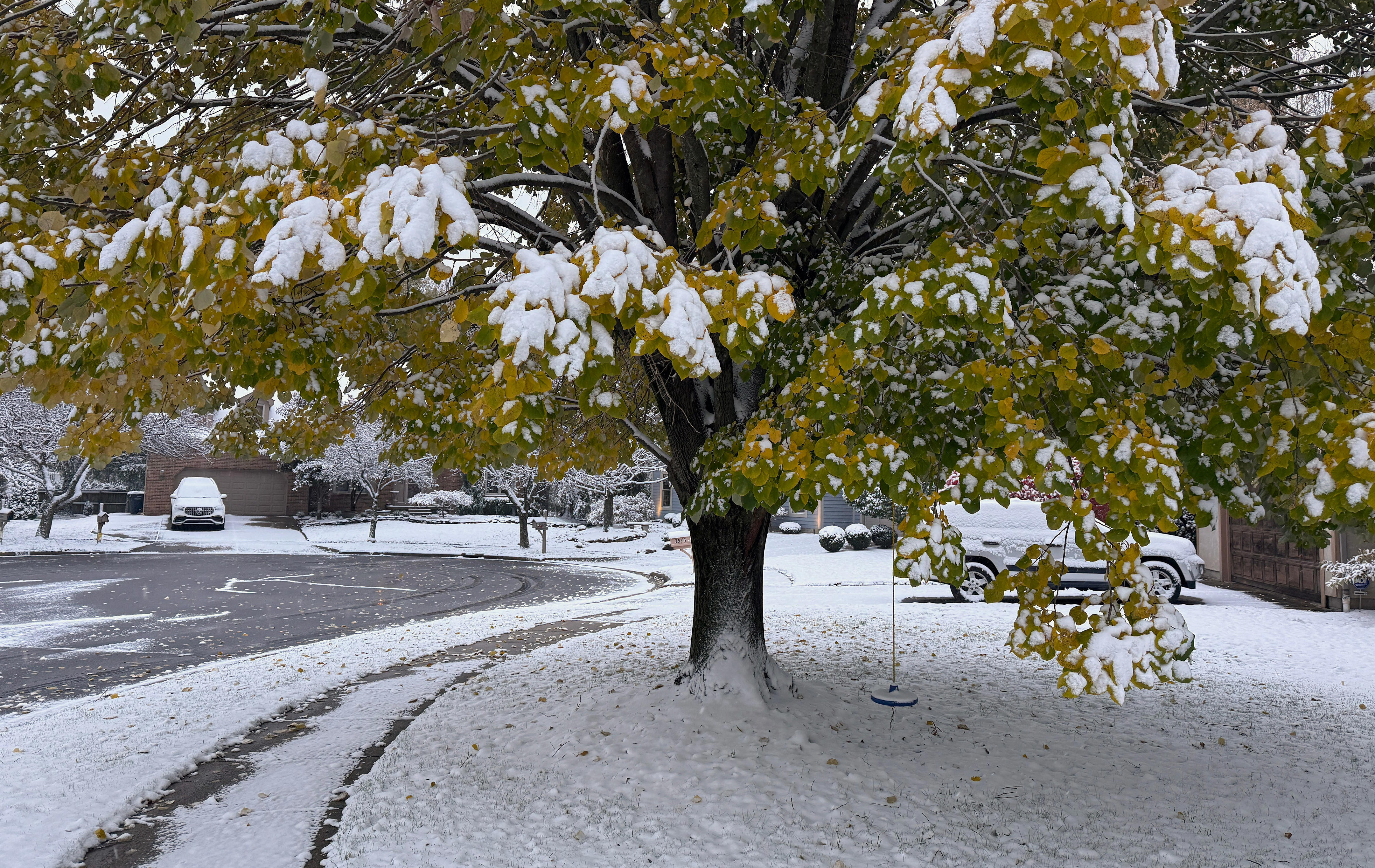 More snow in Columbus future. How much snow fell around central Ohio ...