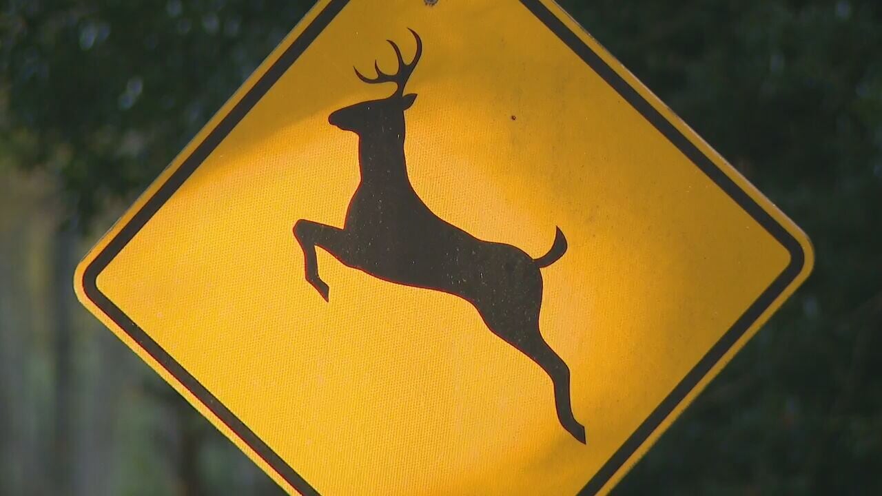 Drivers are more likely to hit deer in these metro Atlanta counties ...