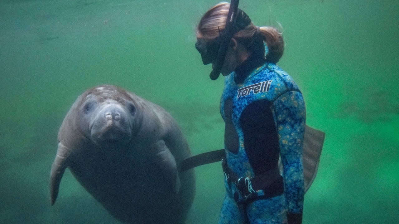 How one woman experienced the magic of diving with sea cows