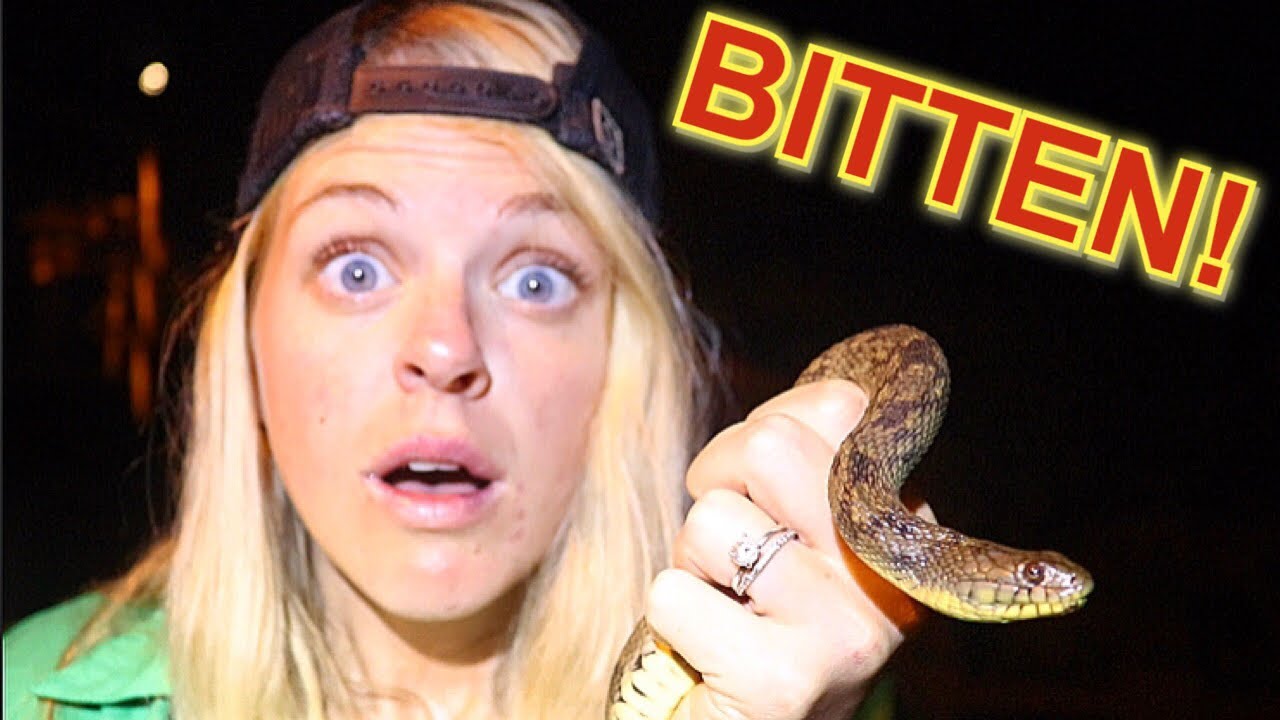 Diamondback Snake Bite: Lessons From Dark Spillway Fishing