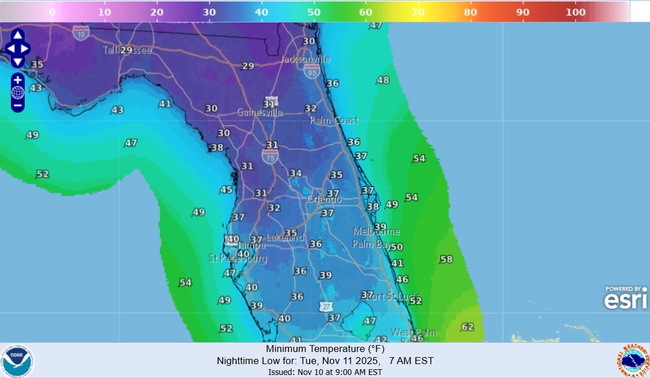 Cold Snap Grips Central Florida: Emergency Shelters Open Across Region